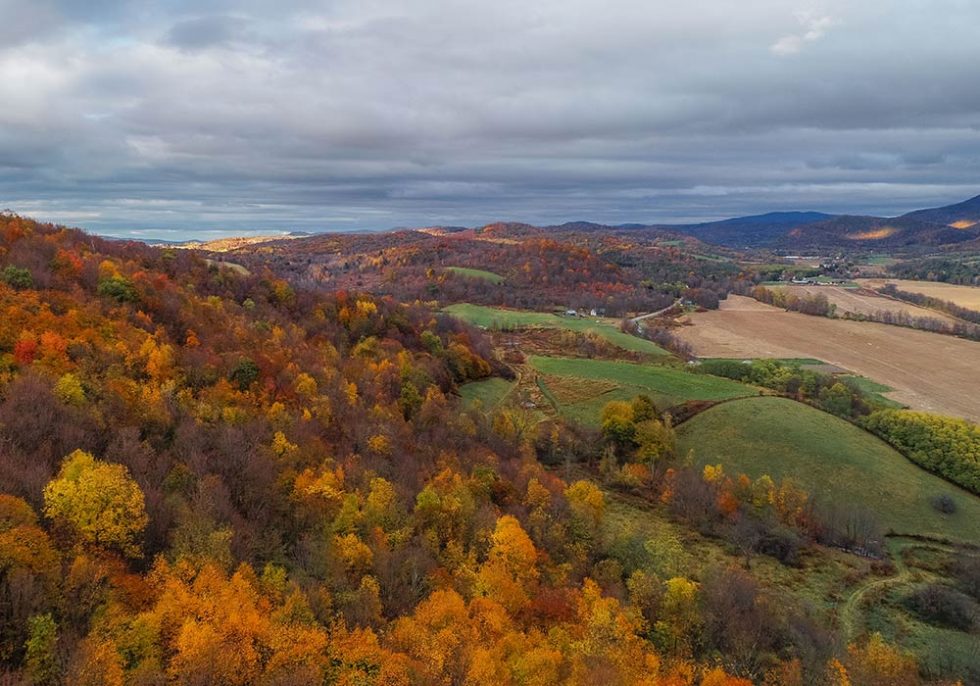 Ranches | BattenKill Farms