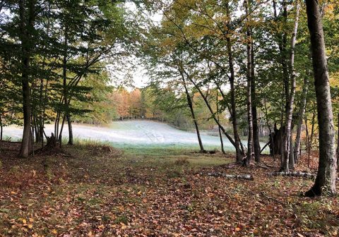Ranches | BattenKill Farms